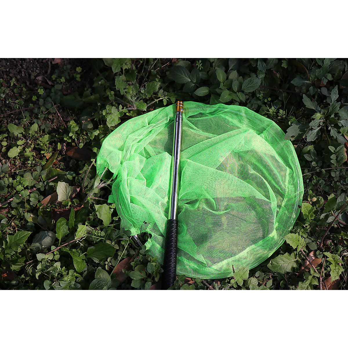 RESTCLOUD Bait Net and Fishing Landing Net with Telescoping Pole Handle Extends to 59 inches (Green)