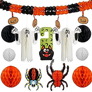 VIEUE Halloween Party Decorations Set Including Honeycomb 3D Wall Spider Ghost and Trick or Treat Door Ornaments for Halloween Decor 12pcs