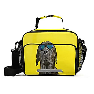Young Black Labrador Lunch Box, Lunch Bag with Adjustable Shoulder Strap Insulated Tote Bag Picnic Box Lunch Bag for School Teens Snacks Insulated Cooler Tote
