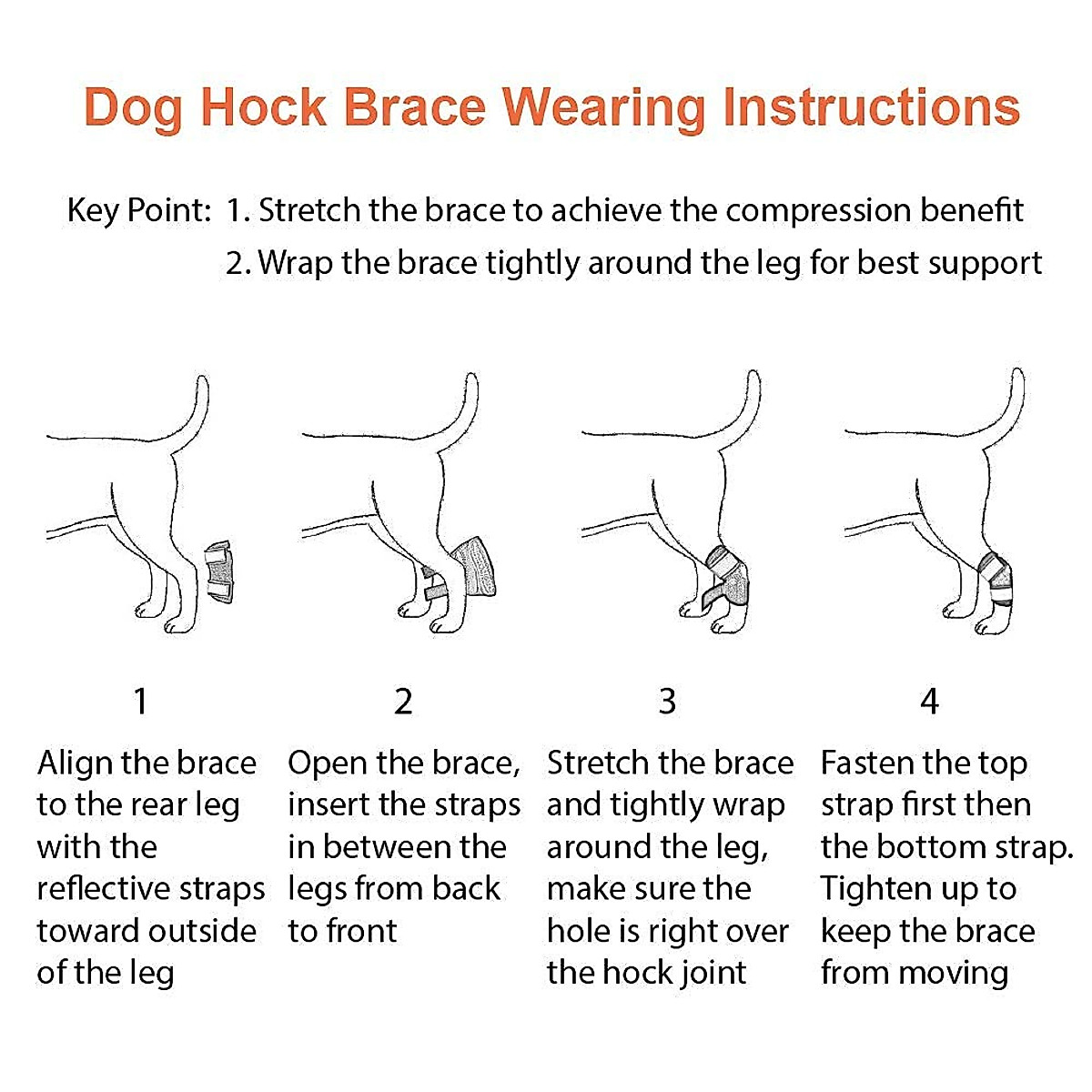 NeoAlly Cat and Dog Ankle Brace Pair Canine Rear Leg Hock Support with Safety Reflective Straps for Hind Leg Wounds Heal and Injuries and Sprains from Arthritis (S Pair)