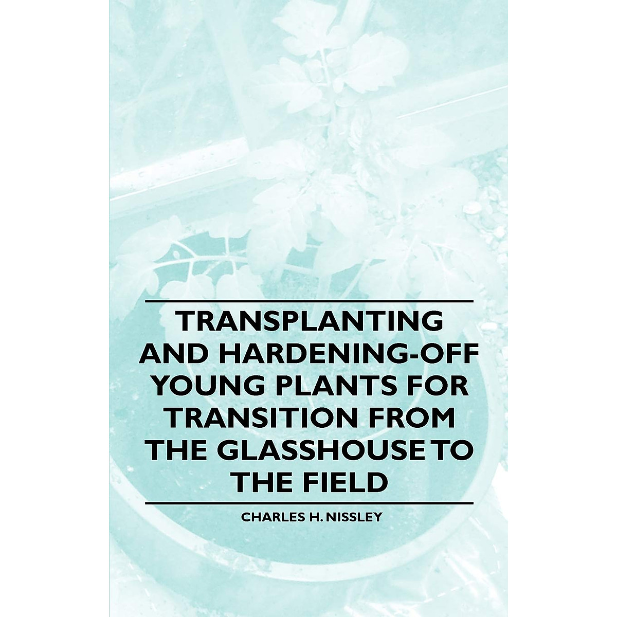 Transplanting and Hardening-off Young Plants for Transition from the Glasshouse to the Field