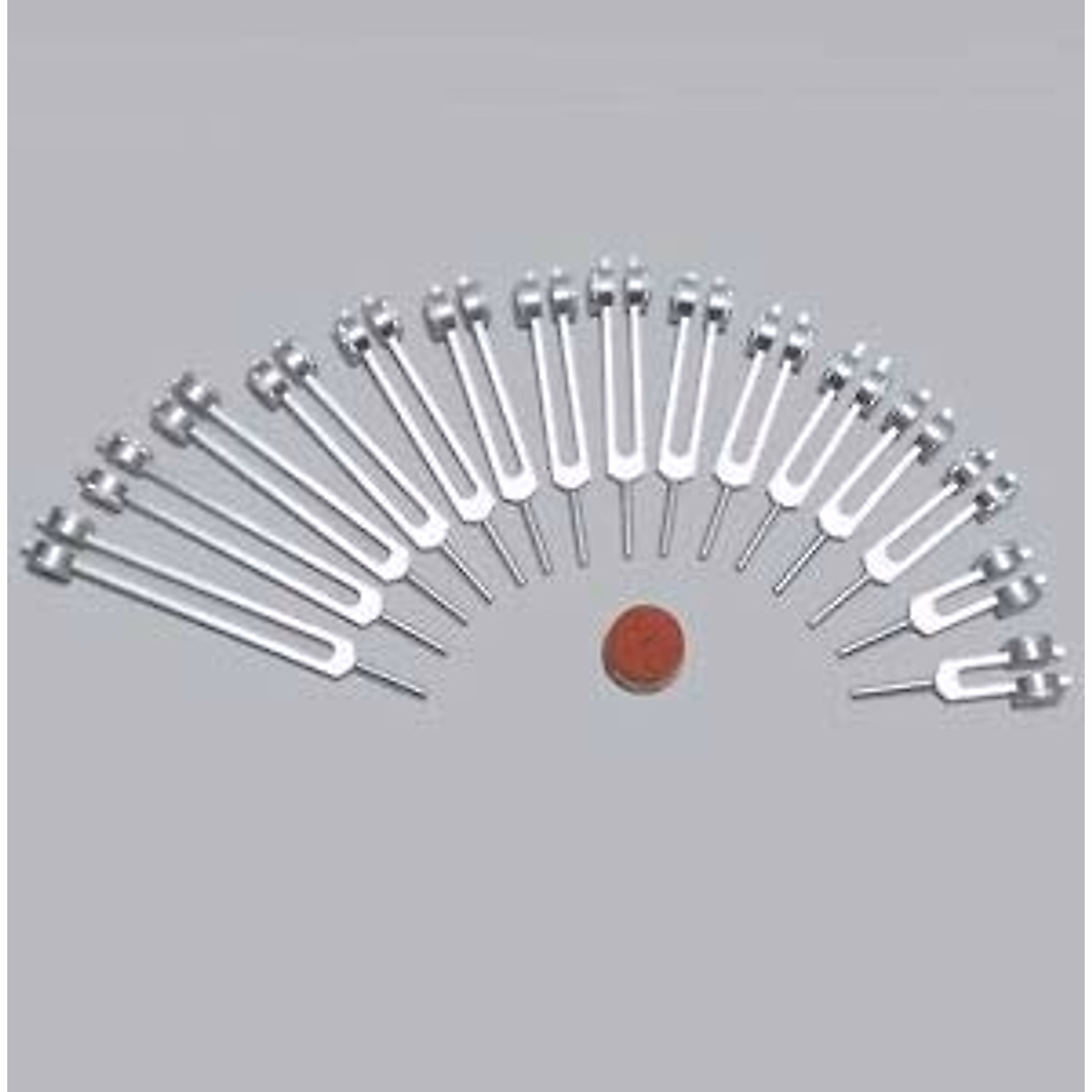 Human Organ Tuning Fork Set