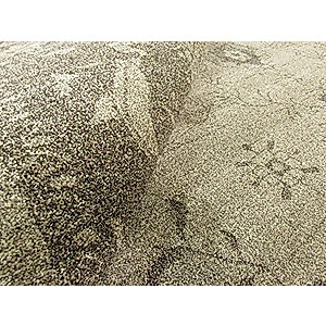 Unique Loom La Jolla Collection Farmhouse, Contemporary, Botanical, Traditional, Vintage Area Rug, 9 x 12 ft, Light Brown/Dark Brown