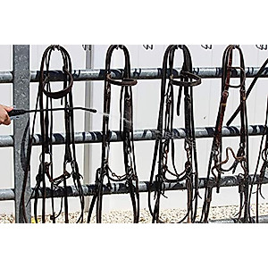 SYNBIONT AGRICULTURAL WASH Ag Wash: 32 .oz Concentrate Horse Shampoo pet Supplies Dog Shampoo Horse tack wash