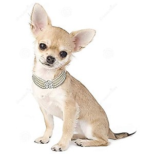 Dogs Kingdom Elegant Fancy Pearls Dog Cat Collar Small Dog Crystal Rose Flower Collar Pet Party Neck Grooming Jewelry Accessory,White,L:12-14" Neck