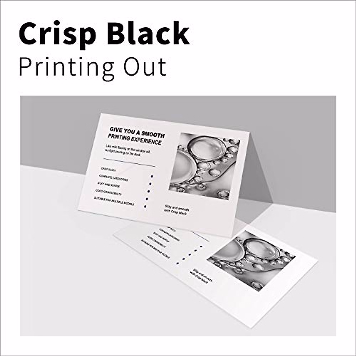 LemeroUtrust 67XL Remanufactured Ink Cartridge Replacement for HP 67 67XL use with HP DeskJet 2755, 2722 Plus 4155, 4155e, 4152 Envy Pro 6055, 6455, 6455e, 6420 (1 Print Head, 2 Black Ink Cartridges)