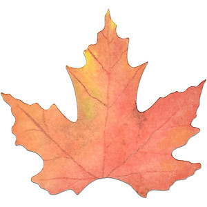 Gift Boutique 100 Count Thanksgiving Table Maple Leaf I Am Thankful for Cards Tree Kit Bulletin Board Cutouts Autumn Name Cards Table Place Settings Fall Gratitude Wall Decor Leaf Cutout