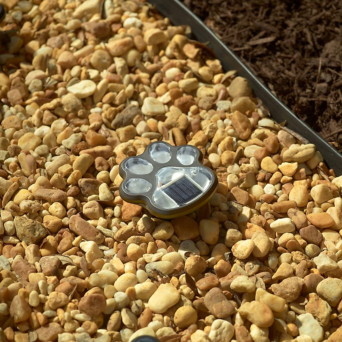 Smart Solar Paw Print Garden Accent Light with Cool White LEDs 3341WMM6