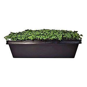 Bootstrap Farmer 1010 Seed Tray - Extra Strength Seedling Trays (No Drain Holes) - 10" x 10", 10 Pack, for Growing Microgreens, Wheatgrass Seeds, Hydroponic Germination, Fodder System 1020 Starter
