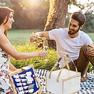 iplusmile Insulated Food Delivery Bags 8 inch Grocery Pizza Tote Bags Aluminum Pouch Foldable Heavy Duty Storage Container For Hot And Cold Food Restaurants 30X30X27CM