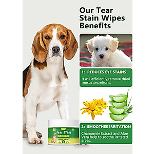Pet Tear Stain Wipes - Dog Tear Stain Remover, Dog Eye Wipes, Gentle Formula for Cats & Dogs, Fast Care for Clean Fur (Large Size 120ct)