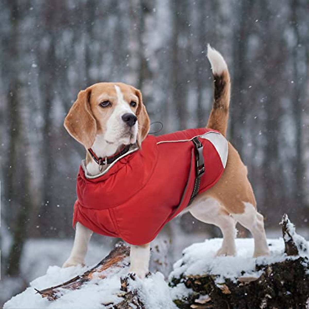 BRKURLEG Dog Jacket Winter Coat,Turtleneck Reflective Dog Cold Weather Coat with Fleece Lining,Waterproof Warm Padded Doggy Waistcoat,Adjustable Neck Chest Girth Dog Windbreaker Vest for All Breeds