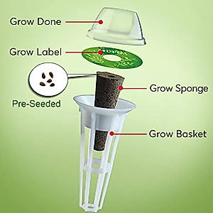 Seed Pods for Hydroponics Growing System - (No Seeds), Hydroponics Supplies with 24 Grow Sponges, 12 Planting pods,2 Set a&b Hydroponic Nutrient Plant Food,28 Stickers,12 Seeding Cover, Total 76 Pcs