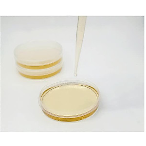 Othmro 10Pcs Plastic Petri Dishes with Lid, 4.72x0.79inch Bioresearch Petri Dish, Round Lab Petri Dishes, Culture Dishes for Culturing Cells Science Projects Seeding Storage Biological Themed Party