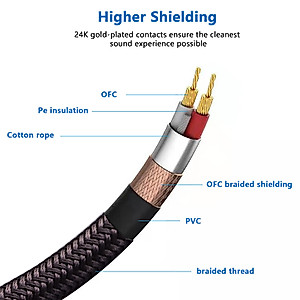 1/4 to XLR Male Cables - Quarter to XLR Balanced Stereo Cables SKAPADEN - 10 Feet, Black