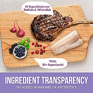 Health Extension Dry Dog Food, Natural Food with Added Vitamins & Minerals, Suitable for All Puppies, Include Buffalo & Whitefish Recipe with Whole Vegetable & Berries (23.5 Pound)