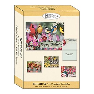 Crown Point Graphics Shared Blessings Birthday Birds 12 Boxed Birthday Cards, Beautiful Birds with KJV Scripture, Art by William Vanderdasson