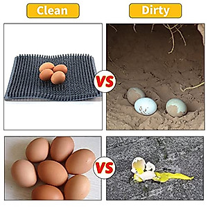 Hamiledyi Chicken Nesting Box Pads, 6PCS Hen Nest Mats Washable, Chicken Nesting Box Plastic Liners, Reusable Egg Laying Mats for Chicken Coop Poultry Nest Boxes Ducks