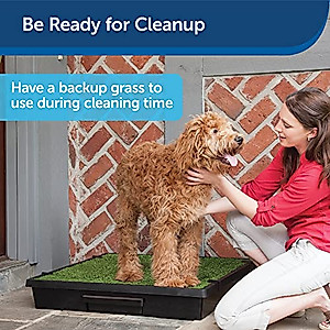 PetSafe Replacement Grass for Large Pet Loo Portable Indoor Dog Potty Training System - Artificial Grass for Dogs, Speedy Drainage, Easy to Clean - Great Alternative to Puppy Pads or Dog Pee Pads,Green