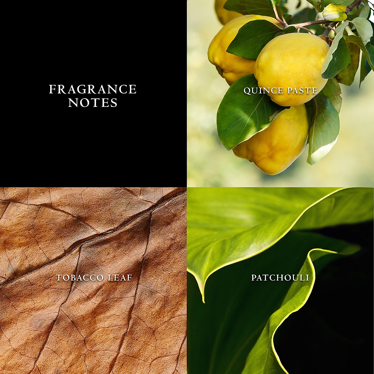 John Varvatos Men's Cologne, Vintage Eau de Toilette EDT Spray, Aromatic Chypre Scent with Notes of Quince Paste, Patchouli & Tobacco Leaf, 2.5 fl oz