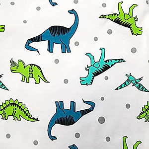 EYL Baby Swaddle Blanket Wrap for Newborn Boy and Girl Adjustable Infant Swaddle Sack Set, 0-3 Months, 2 Pack (Dinosaur, Small)