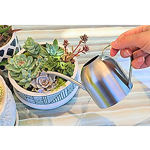 Itza 15 oz. Small Stainless Steel Metal Watering Can for Indoor, Outdoor Houseplants, Mini Watering Tool for Your Bonsai, Succulent & Orchid Plant Garden