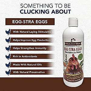 Healthy Hen Egg-Stra Eggs - Organic Chicken Water Additive with Aloe Vera, Calendula Oil, Thyme Oil, and More - 16 oz - Supports Egg Production and Immunity - All Natural - Made in the USA (1 pack)