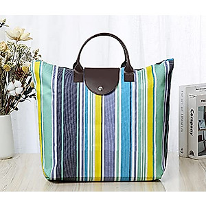 Collapsible Folding Shopping Bag with Wheels Foldable Shopping Cart Reusable Grocery Bags, Trolley Bag on Wheels (B0741YPTV7)