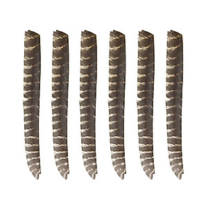 SHARROW 30pcs Archery Full Length Turkey Feathers Arrow Fletches Fletching Rrght Wings for Hunting Shooting (Snow spot Feather)