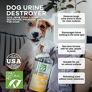 Only Natural Pet Enzyme Powered Stain & Odor Eliminator - Professional Pet Urine Pee Cleaner Deodorizer for Dogs - Hardwood Floors Carpets Upholstery - Eucalyptus & Rosemary Scent - 32Floz