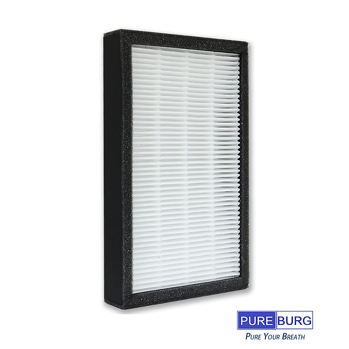 PUREBURG FLT4100 True HEPA Replacement Filter Set Compatible with GermGuardian AC4100 AC4100CA AC4150BL AC4150PCA AC4150PC AC4175W Air Purifiers,Part Number FLT4100, Filter E,FLT11CB4