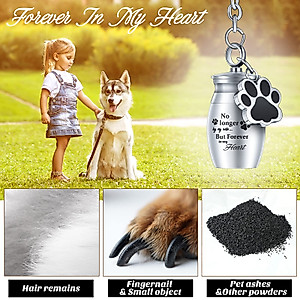 Batiyeer 4 Pcs Pet Urns Keychain for Dogs Ashes Keepsake Stainless Steel Small Pet Cremation Keepsake for Dogs Cats Ashes with Black Velvet Storage Bags, Puppy Cremation Jewelry Paw Charm