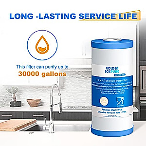 GOLDEN ICEPURE 5 Micron 10" x 4.5" Whole House Sediment Activated Carbon Water Filter Compatible with GE FXHTC, GXWH40L, GXWH35F, GNWH38S Universal Water Filter System 2pack