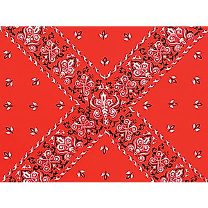Printed Tissue Paper for Gift Wrapping with Design (Red Bandana), 24 Large Sheets (20x30) - Western Theme Party Supplies
