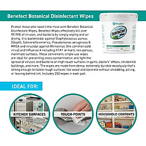 Benefect Botanical Disinfecting Wipes - (250 Wipe Count) Natural, No Residue - Antibacterial Disinfectant, Multi-Surface Cleaning and Sanitizing Wipes