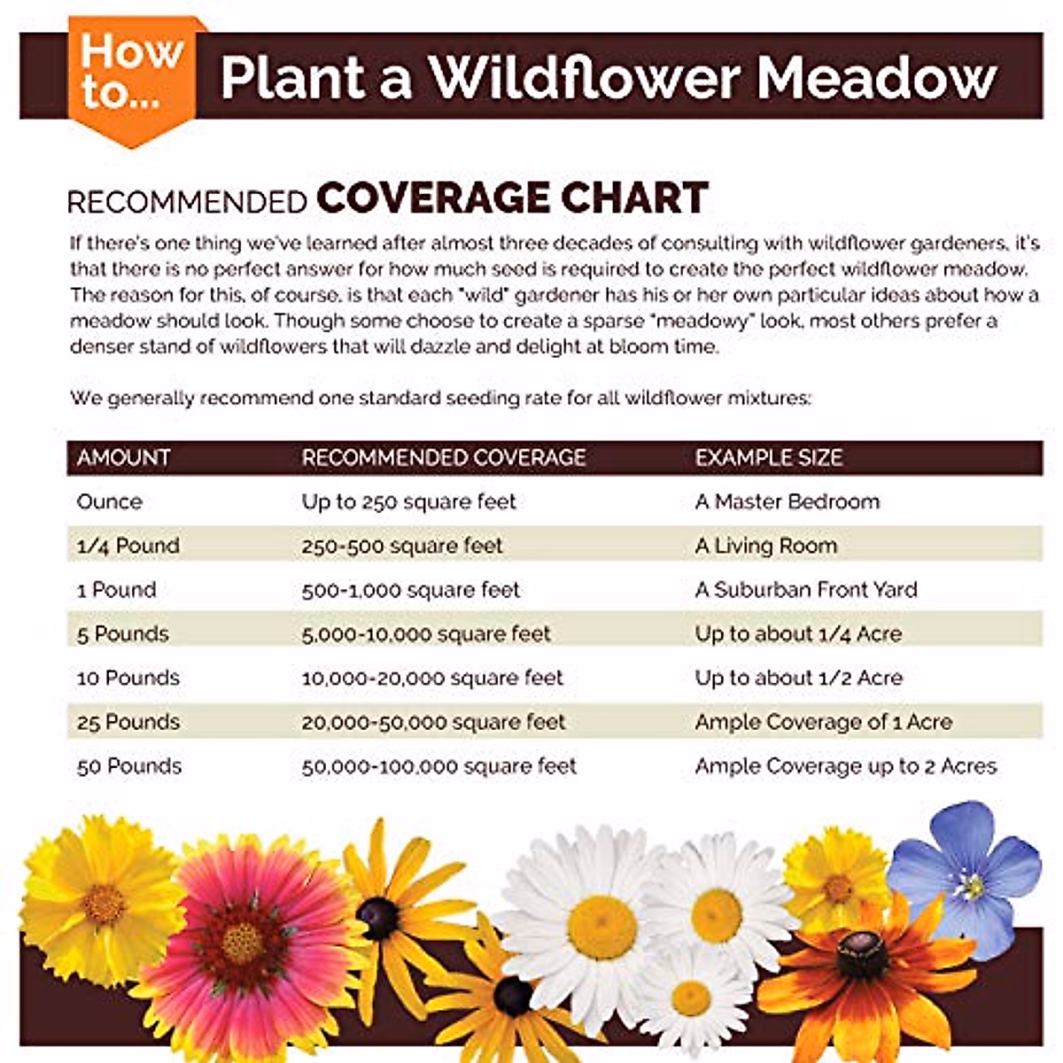 Midwest Wildflower Seed Mix - 1 Pound - Mixed Wildflower Seeds, Attracts Bees, Attracts Butterflies, Attracts Hummingbirds, Attracts Pollinators, Easy to Grow & Maintain, Cut Flower Garden