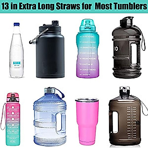 ALINK 13 IN Glitter Straws + Pink Straws for Stanley 40 OZ Tumbler