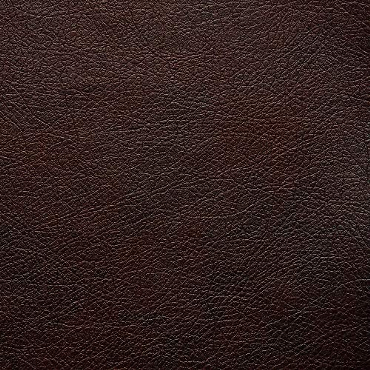 Serta Palisades Upholstered Sofas for Living Room Modern Design Couch, Straight Arms, Soft Fabric Upholstery, Tool-Free Assembly, 73" Sofa, Chestnut Brown