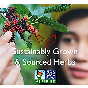 BRAVO TEAS&HERBS Blood Circulation Herbal Tea, Caffeine Free, 20 Count