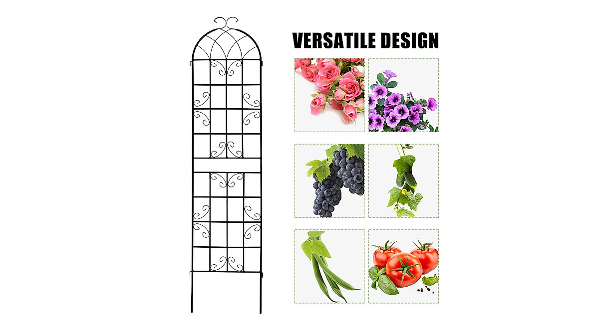 ZBPRESS 4 Pack Metal Garden Trellis for Climbing Plants