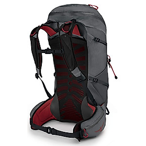 Osprey Talon Pro 30 Men's Hiking Backpack, Carbon, Large/X-Large