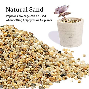 5.7 lbCoarse Sand Stone - Silica Sand for plants, Soil Cover Succulents and Cactus Bonsai DIY Horticultural sand, Decorative Sand for Vases Fillers,Terrarium, Fairy Garden,Natural Sand Top Dressing