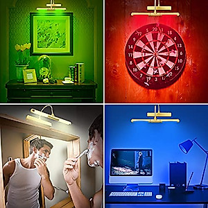 HONGUT Wireless Painting Lights with Remote, Rechargeable Picture Light，28 LEDs Rotatable Light Head with 12 Color Changing, Dimmable Display Light with Timer for Frame, Portrait, Art, Dartboard-Gold