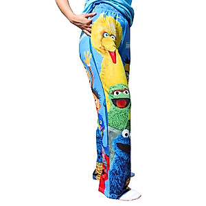BRIEF INSANITY Sesame Street Adult Lounge Pajama Pants - Comfy, Loose-Fit, Ultra-Soft - Sesame Street Group Sleep Bottoms (Large)