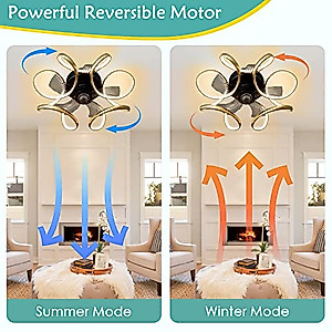 Tivleed Modern Ceiling Fan with Lights - 20.8 Inch Small Low Profile LED Fans Light Dimmable with Remote & APP Control - Gold Quiet Flush Mount Fan Lighting Indoor Reversible for Bedroom Kitchen