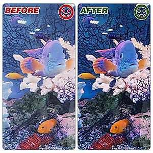 Bylion 6 Pack Aquarium Cleaner for Glass Walls, Aquarium Scrubber Aquarium Cleaner Aquarium Hand Held Scraper Pad Fish Tank Cleaning Tools for Glass Walls Turtle & Fish Tank