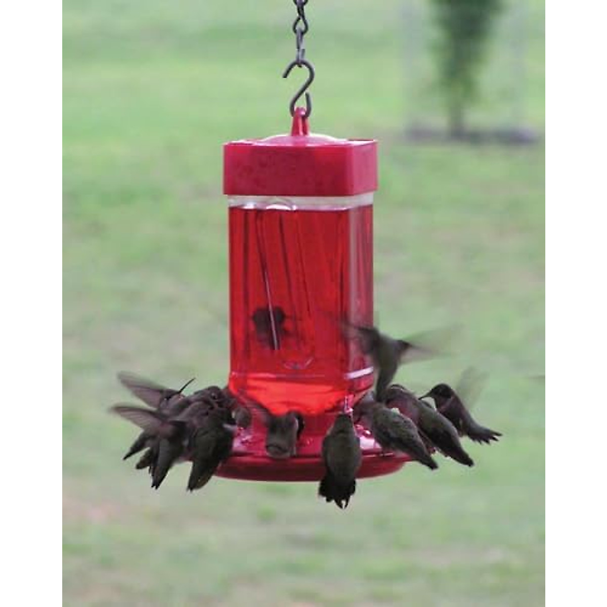 First Nature 3055 32-ounce Hummingbird Feeder