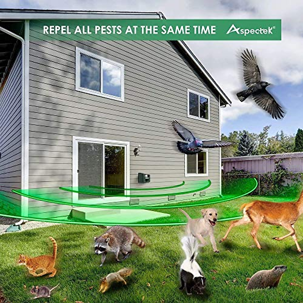 ASPECTEK Includes AC Adapter, Extension Cord Pest Repeller Yard Sentinel 2 Pack Outdoor Ultrasonic Animal Control, Green, Sound Frequency:15 kHz -18 kHz