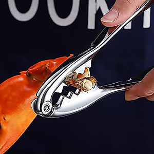 BESTonZON 1 set 5 pcs Crackers Picks Lobster Opener Nut Stainless for Forks Hard Silver Kit Crayfish Eating Shrimp Shell Peel Clamps Tools Seafood Accessories Nutcrackers Claw of and Crab,
