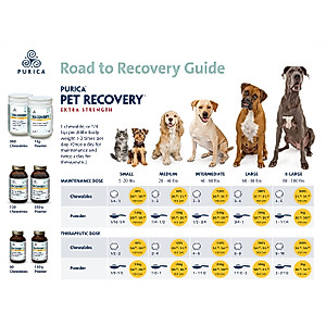 PURICA Pet Recovery Extra Strength - Joint Support for Cats & Dogs - Glucosamine - Vitamins for Joint Health. Suitable for Small & Large Breeds - Transform Your Pet's Well-Being with 1Kg Powder